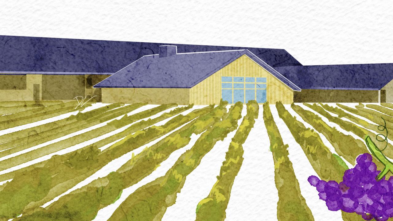 Screaming Eagle | Wine Auctioneer